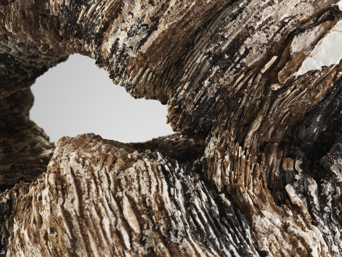 YINJISPACE Explores Life Aesthetics Through a Media Lens, Blending Art ...