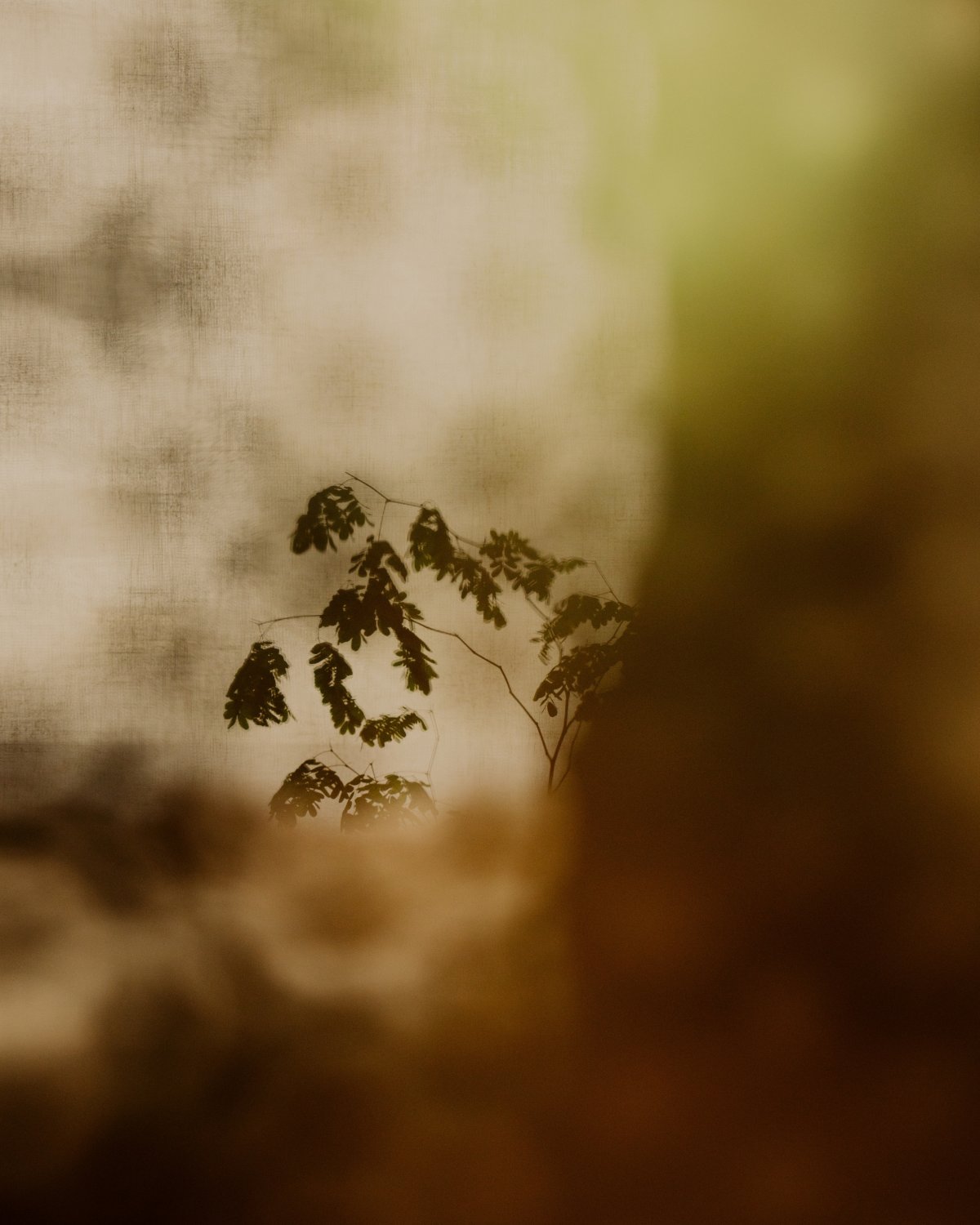 YINJISPACE Explores Life Aesthetics Through a Media Lens, Blending Art ...